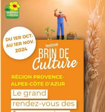 Festival Brin de Culture 2025 dates et programmation
